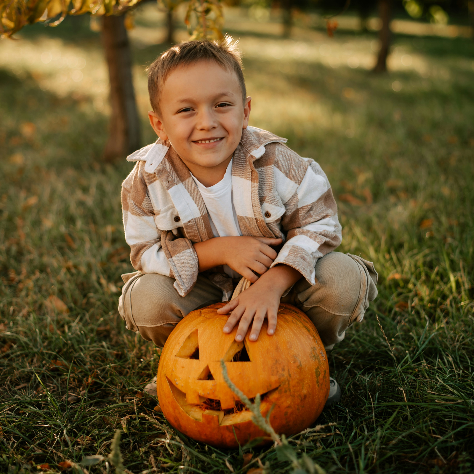 Centre map | Tweed City